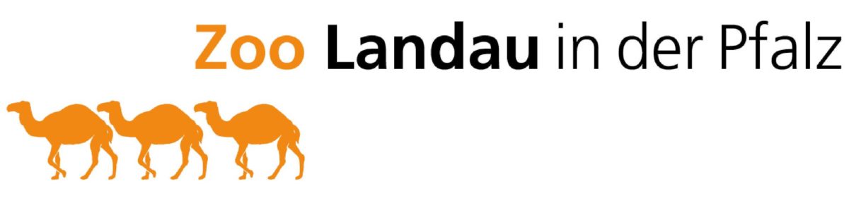 RWCA Rwanda Wildlife Conservation Association - Charity in Rwanda