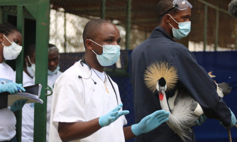 RWCA Rwanda Wildlife Conservation Association - Charity in Rwanda