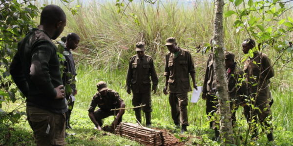 RWCA Rwanda Wildlife Conservation Association - Charity in Rwanda