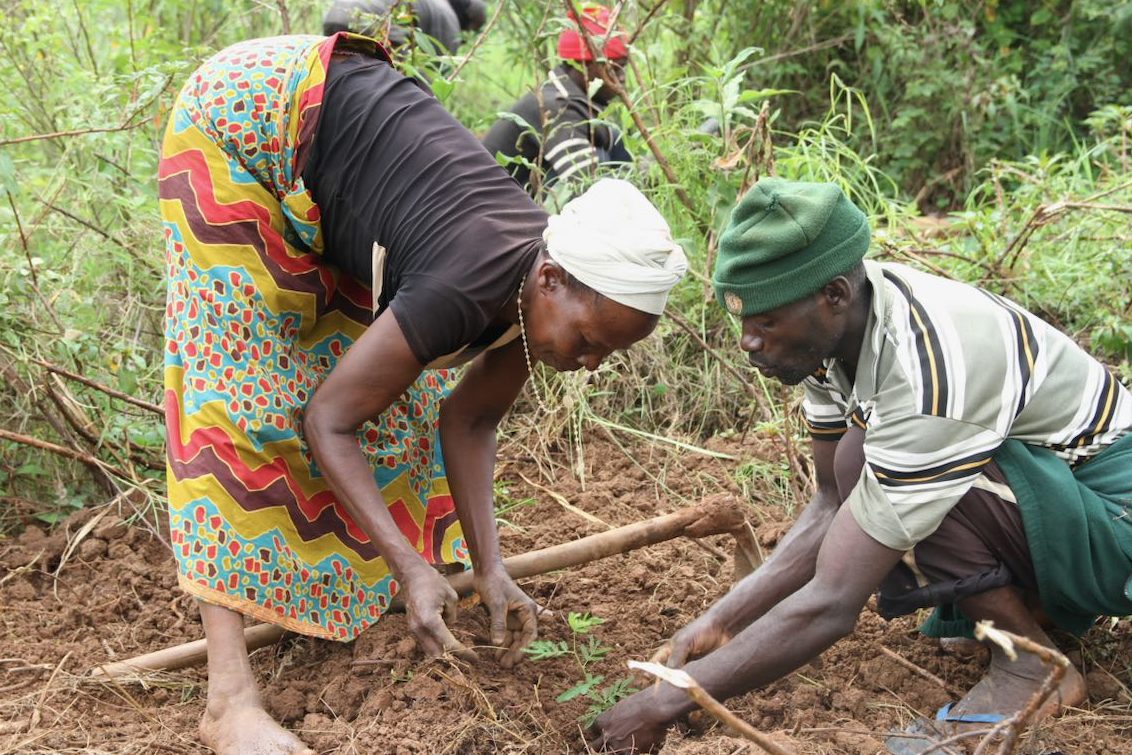 RWCA Rwanda Wildlife Conservation Association - Charity in Rwanda