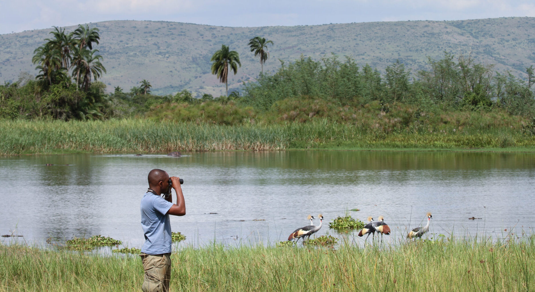 RWCA Rwanda Wildlife Conservation Association - Charity in Rwanda